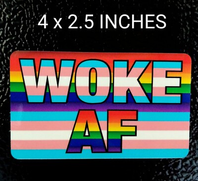 4" Woke AF Decal Vinyl Sticker LGBTQ Support Pride Trans Rights Rainbow ...