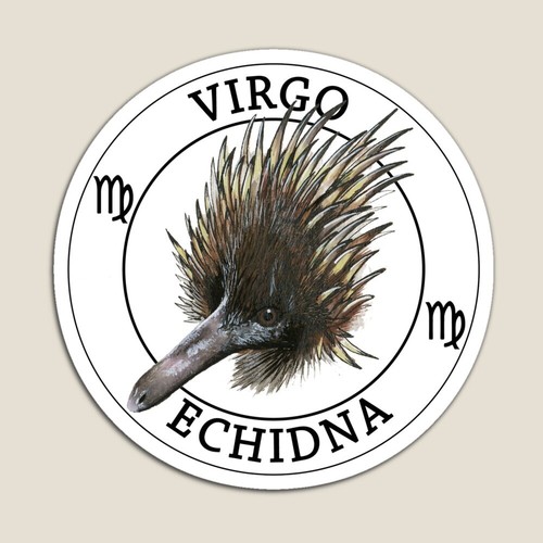 Full colour Printed Auz Astrology Animal Magnets - VIRGO (ECHIDNA) | eBay