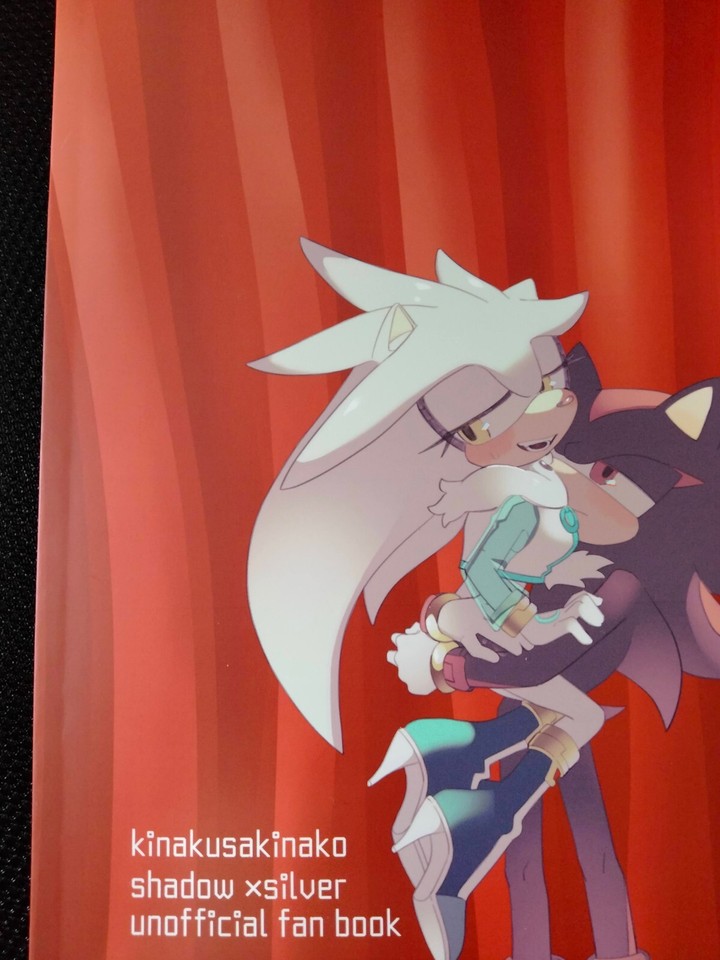 SONIC Doujinshi Shadow X Silver (A5 58pages) | eBay
