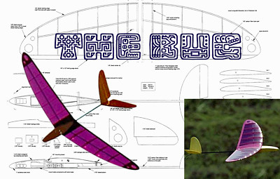Short Kit & Plans The Bug HLG Glider 24" WS RC Airplane Laser Cut Balsa ...