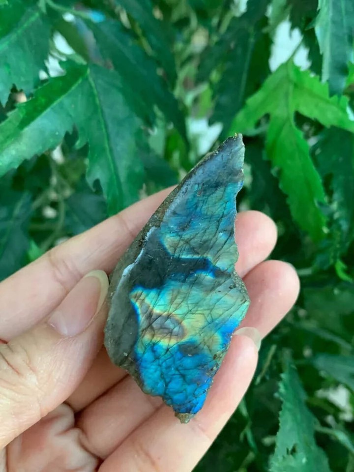 Natural Labradorite Slab, 1.25" - 5" High Flash Raw Labradorite, Pick a ...