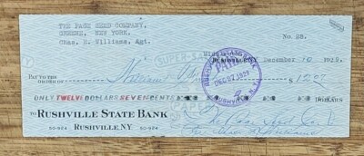 1929 Bank Check New York City Rushville State Bank Green Page Seed | eBay