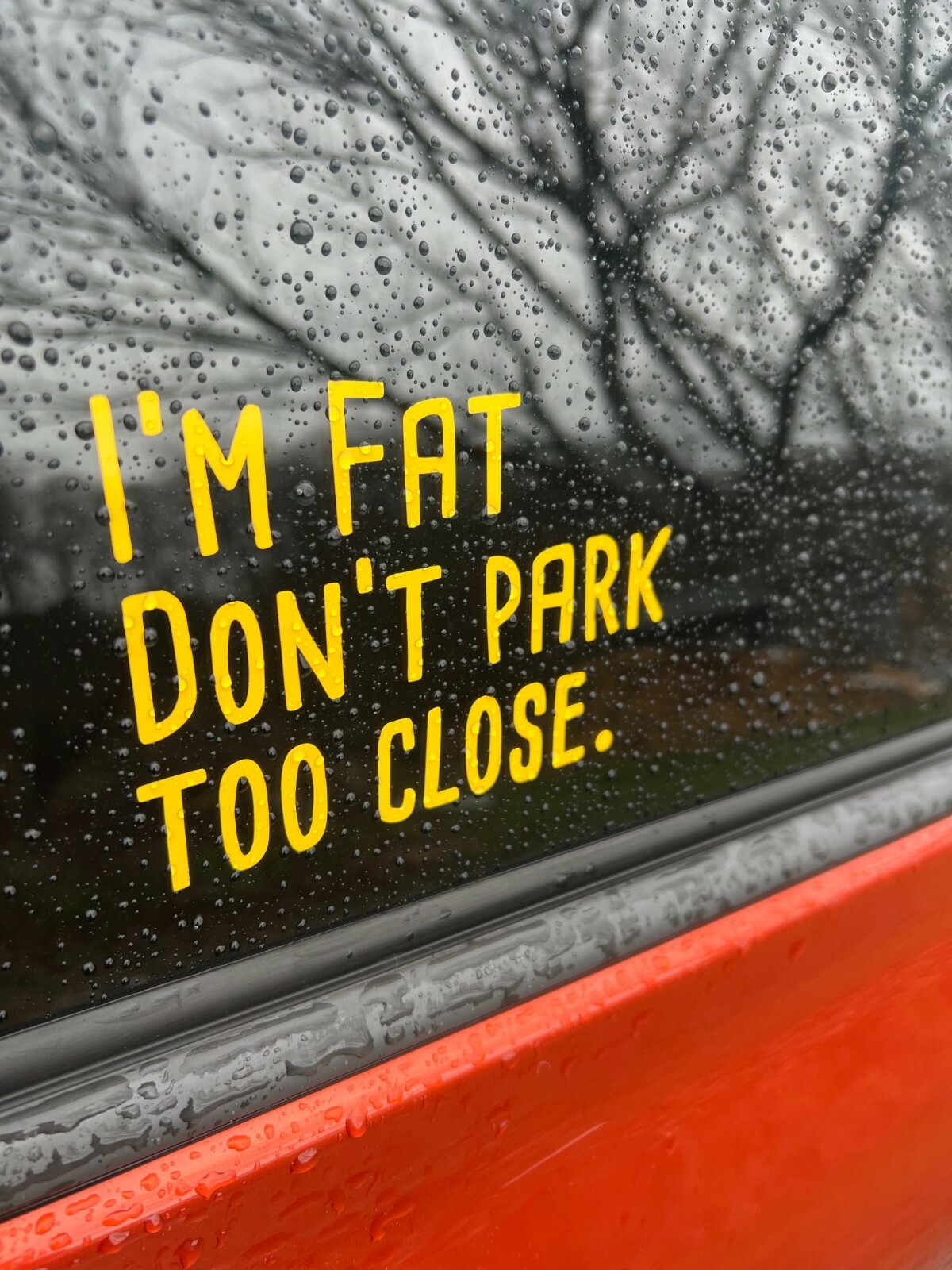 Too Fat People