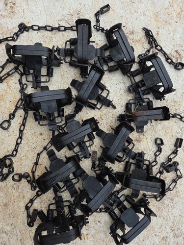 Lot of 14 Northwoods No. 1 1/2 Coil Spring Trap Trapping Traps | eBay