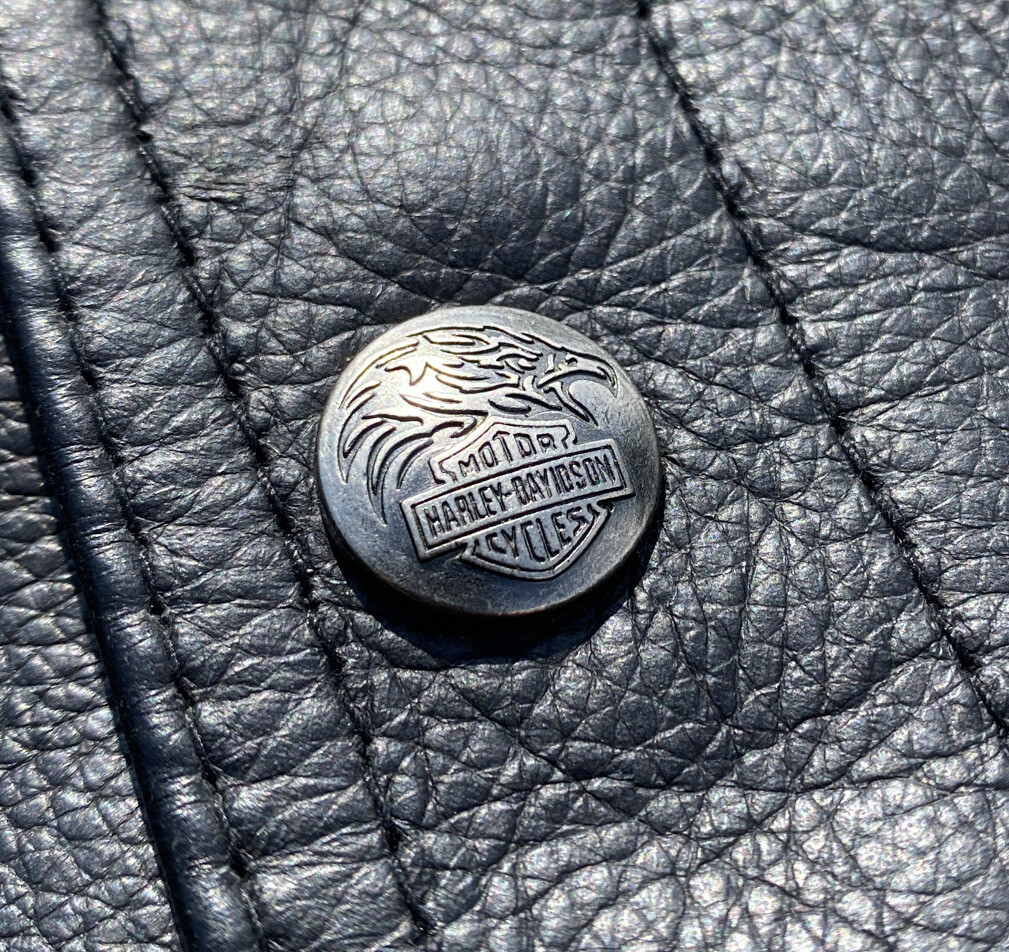 RARE Harley Davidson Men WILD FORCE Leather Snap Vest… - Gem