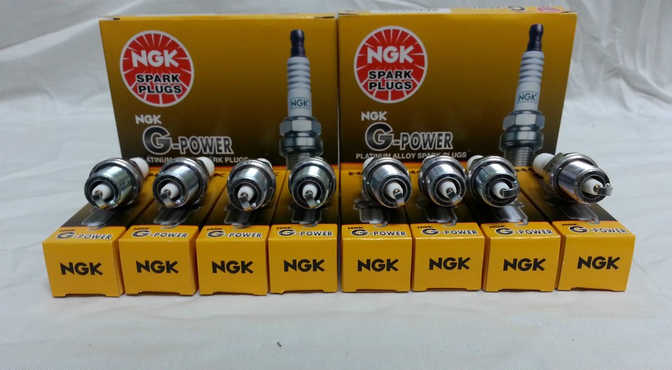 NGK MADE IN JAPAN TR55GP SPARK PLUG PLATINUM POWER 8-PEICES (3403) | eBay