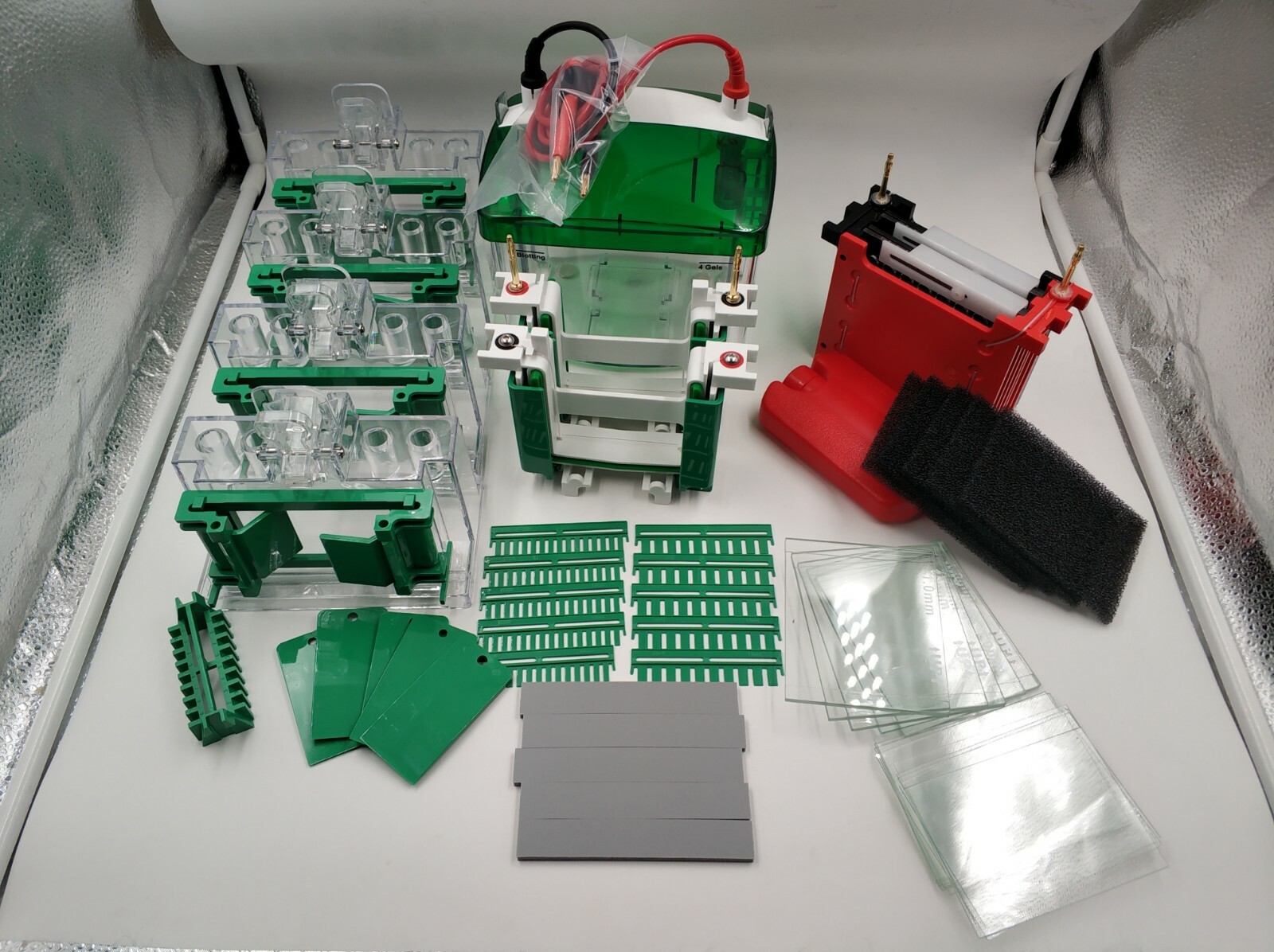 Bio-Rad 1658035 Mini-PROTEAN Tetra Cell, Mini Trans-Blot Module ...