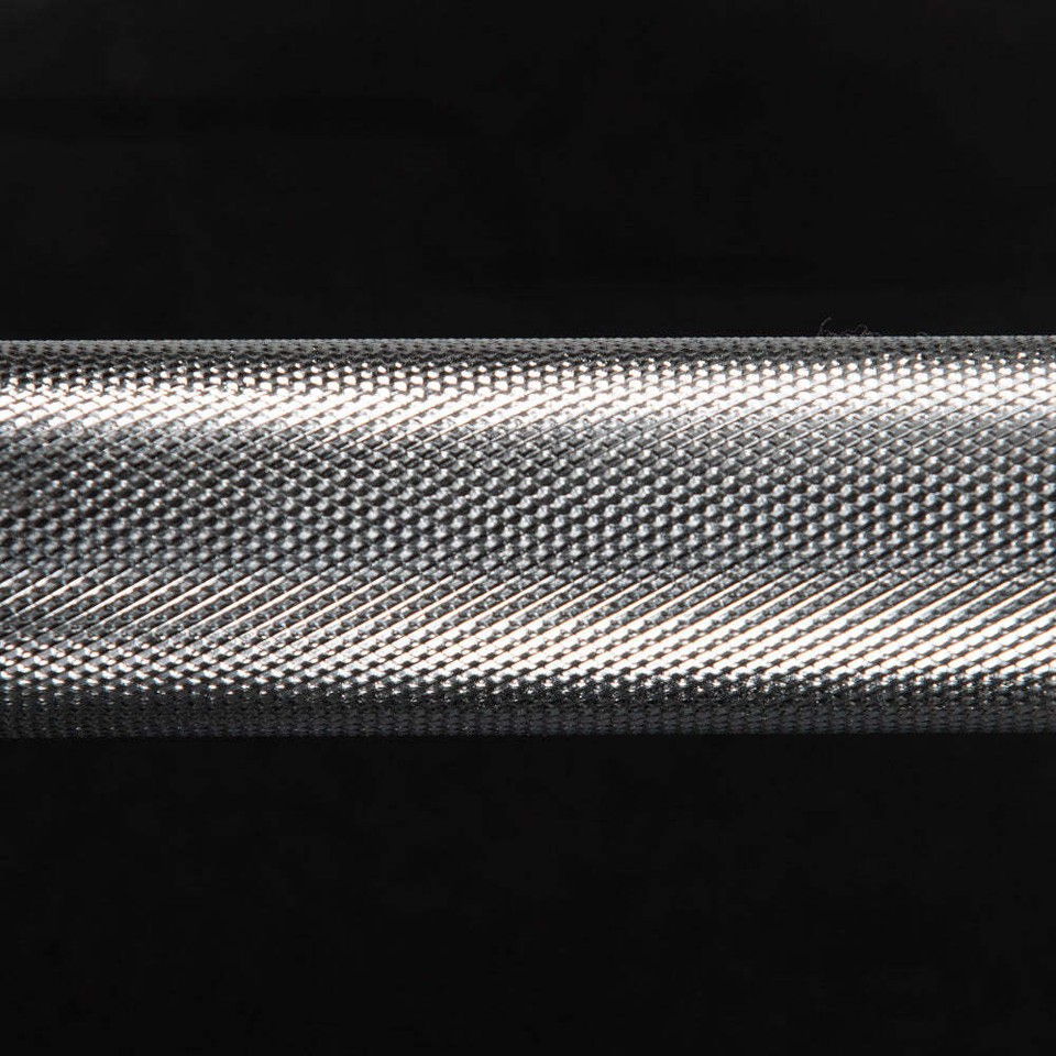 Titan Fitness Pair 20in Loadable Olympic Dumbbell Bars, 400 LB Capacity ...