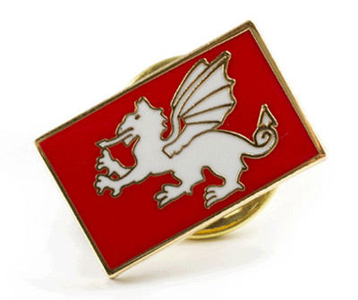 WHITE DRAGON ENGLAND BADGE - Anglo-Saxon, Enamel Lapel Badge | eBay UK