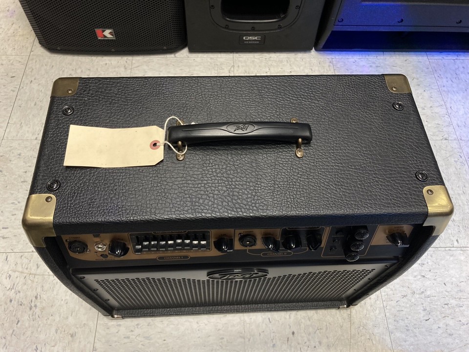 Peavey E 110 Ecoustic Acoustic Guitar amplifier w/ Foot controller | eBay