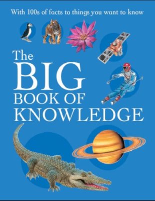 Big Book of Knowledge. 9781405451055 | eBay UK
