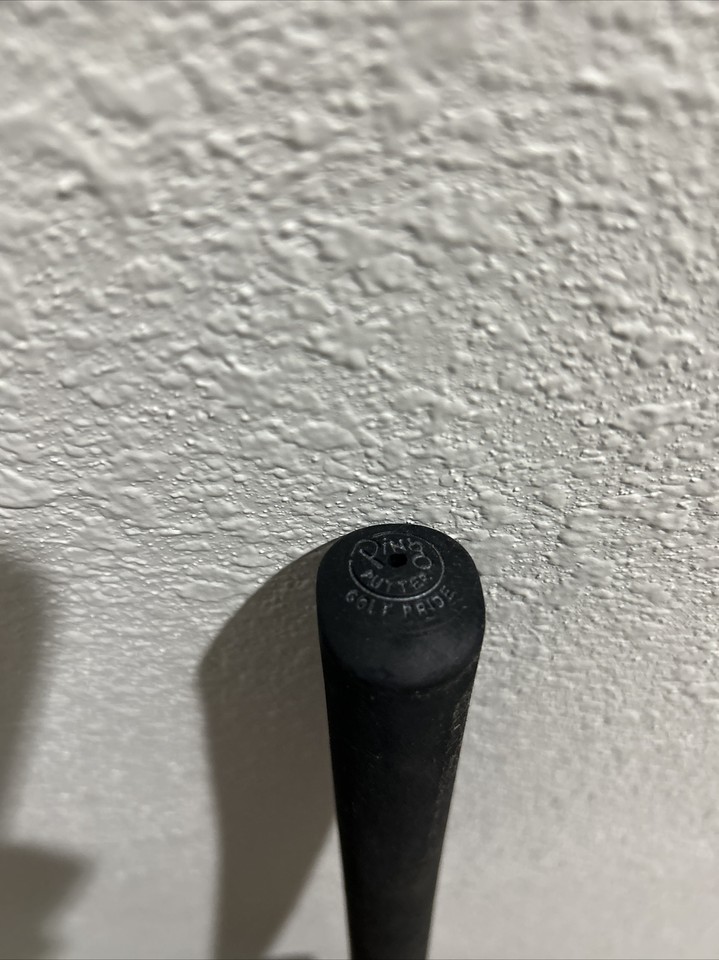 Titleist Scotty Cameron Pro Platinum Big Sur Blade Putter New Ping Grip ...