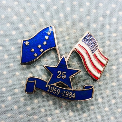 Vtg 1984 Alaska 25th State Anniversary Enamel USA Friendship Flag Lapel ...