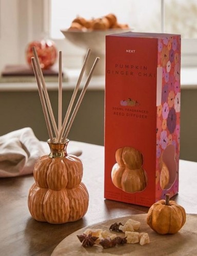 NEXT Pumpkin Ginger Chai Reed Diffuser 200ml | eBay UK