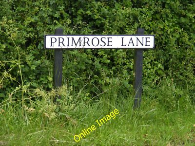 Photo 12x8 Primrose Lane sign Clay Common On Primrose Lane at the ...