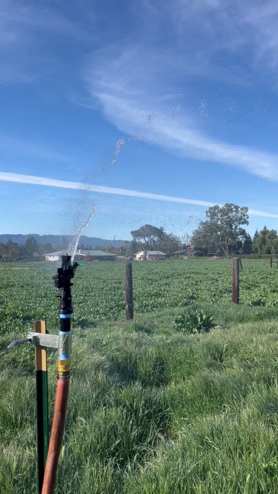 T-Post sprinkler & 3/4 VYRSA impact 100 feet garden, farm, dust control ...