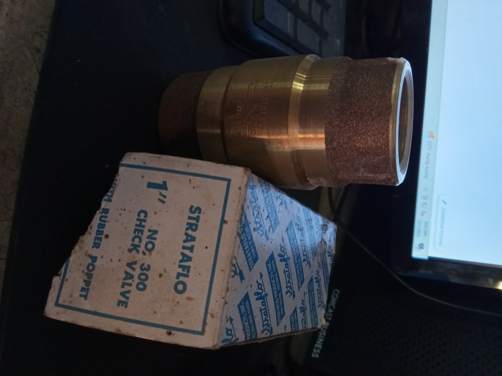 Strataflo 1 Inch No 300 Check Valve w/Rubber Poppet | eBay