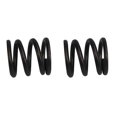 18# Valve Springs Predator 212 Hemi DC_DCS-AN2 | eBay