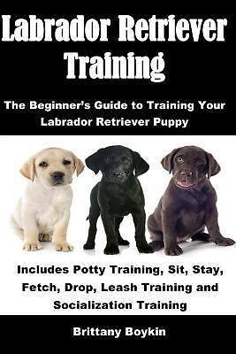 Labrador Retriever Training: the Beginner's Guide to Training Your ...