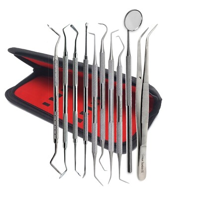 10 Basic Dental Instruments Set Tweezer Explorer Mirror Plier German ...