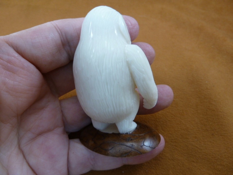 (tne-ape-or-313) white ORANGUTAN monkey ape TAGUA NUT palm nuts ...