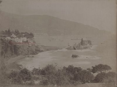 Portugal Madeira Funchal Vintage Aristotype Ca 1890 | eBay