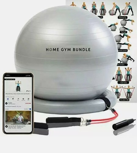 Premium Exercise 65 Cm Fitness Ball With 15lb Resistance Bands Home Gym ...