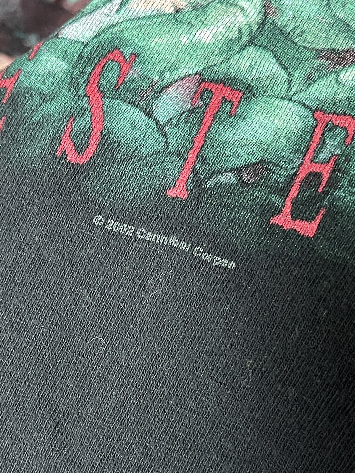 Vintage 2002 Cannibal Corpse Worm Infested T-Shirt Gr… - Gem