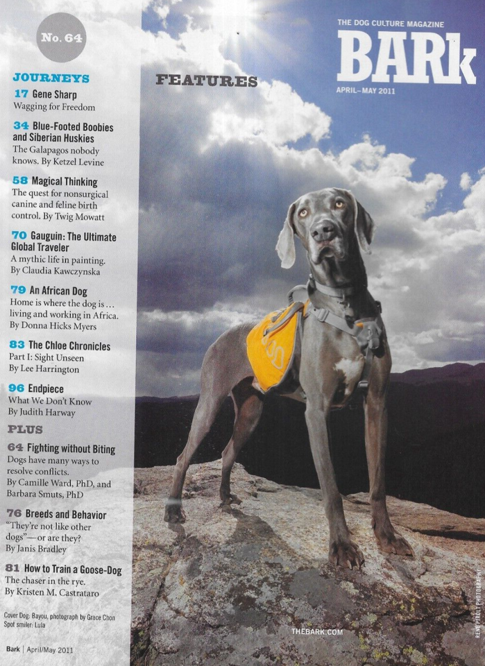 Bark Magazine Running with Dogs Gauguin Non-Surgical Birth Control ...