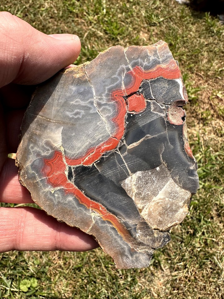 Exceptional__Large Natural Rare Imperial Kentucky Agate Rough from ...