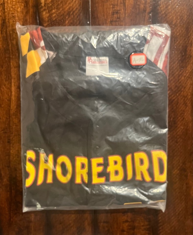 Jackson Holliday 2025 Delmarva Shorebirds Jersey 7/24/25 SGA - Size XL | eBay