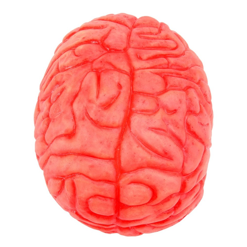 Fake Brain Human Body Parts Halloween Prop for Scary Halloween Party ...