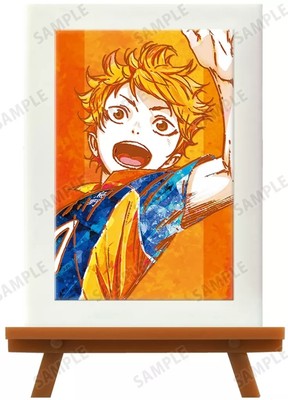 Hinata Shoyo Haikyu!! Ani-Art Mini Art Frame Trading Card Used | eBay