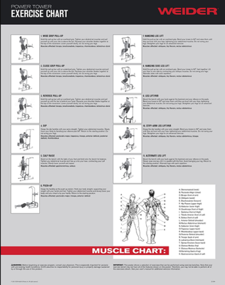 Weider Workout Chart Pdf - Infoupdate.org