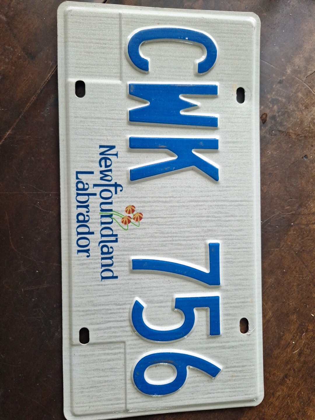 NEWFOUNDLAND LABRADOR LICENSE PLATE #CWK 756 | eBay