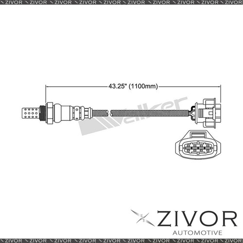 New Post Catalytic Oxygen Sensor For Holden HSV VXR AH 2.0 Turbo Z20LEH ...