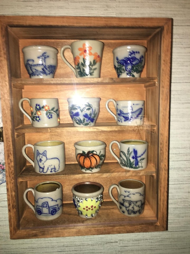 Wall Mounted Collectible Display Shelves Case Shadow Box with a Lock ...