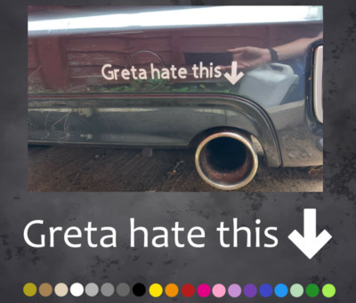 Funny sticker Greta hate this car van bumper window diesel petrol vinyl ...