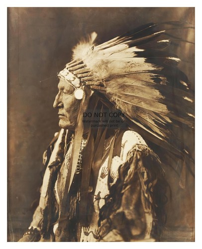 CHIEF LITTLE WOLF NORTHERN CHEYENNE NATIVE AMERICAN LEADER 8X10 PHOTO ...