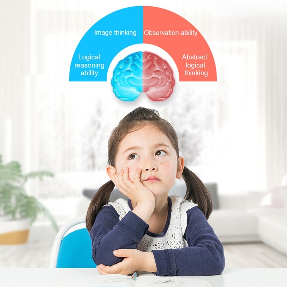 Optical Experiment Concave Lens Handheld Convex Mirror with Bracket ...