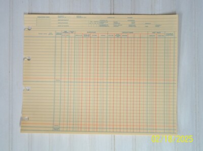 WilsonJones 682-40 Payroll Ledger Sheets 11 7/8" X 9 1/4" Yellow/Tan ...