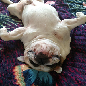 Big Brand Retail Slasher | eBay Stores