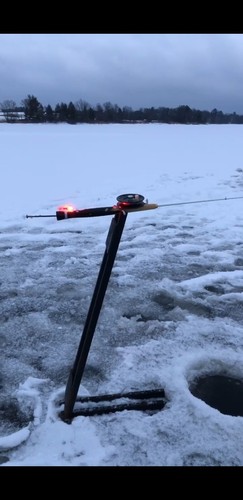 Ultra Bright 20 Lumens Tip Up Or Tip Down Lights Led 3pk Non-Flashing (Red) | eBay