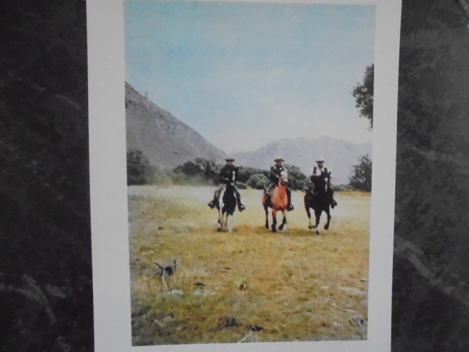 TOP BONANZA Farbfoto Little Joe, Ben und Hoss Cartwright! | eBay