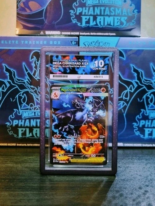 Mega Charizard X EX #125 SIR Perfect Subs Gem Mint 10 Ace Graded ...