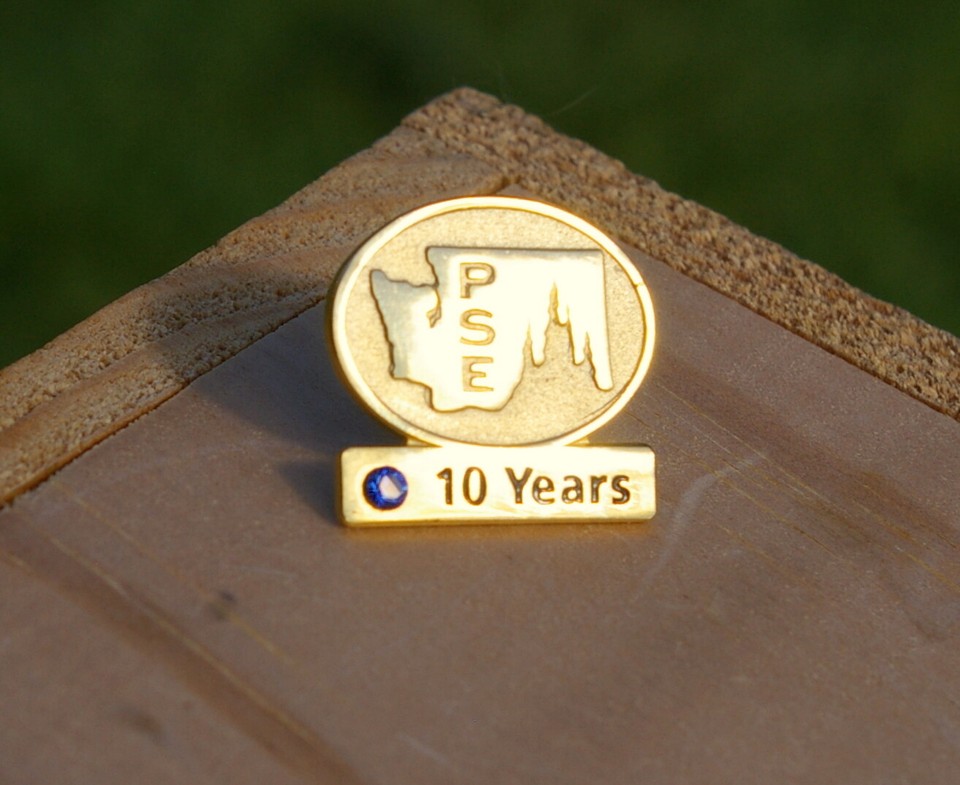 PSE 10 Years Public School Employees WA Union Member Pin Blue Sapphire ...