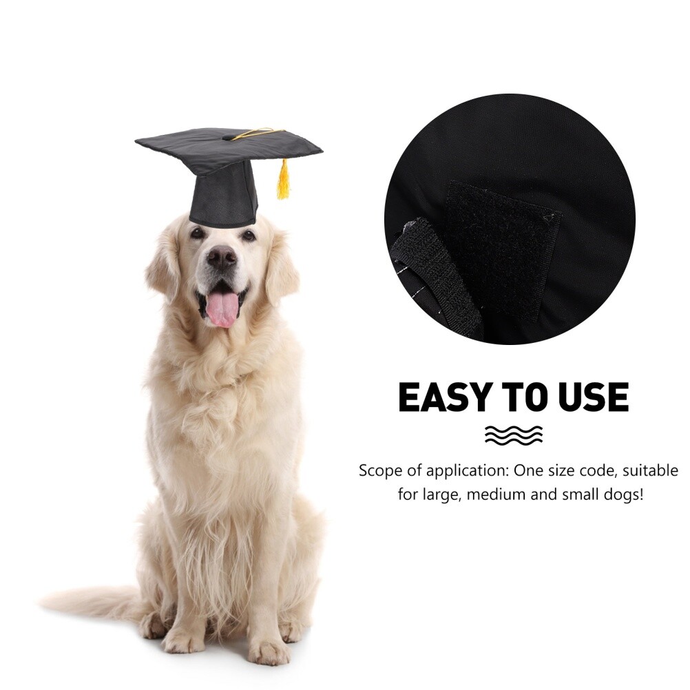 Dog Graduation Cap And Gown