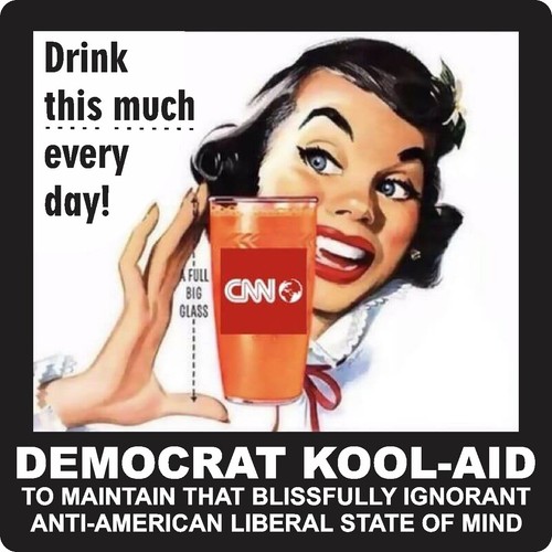 TRUMP CNN FAKE NEWS ANTI DEMOCRAT MAGA DECAL STICKER POLITICAL SWAMP ...