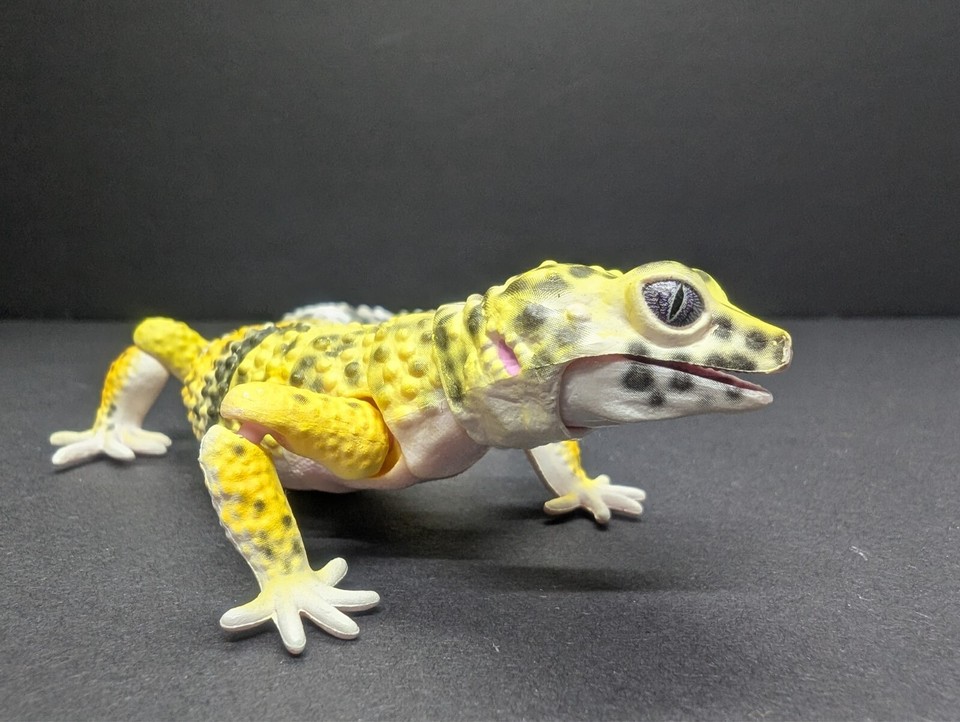 Bandai Gashapon Leopard Gecko 6.3in Realistic Figure Free Shipping from ...