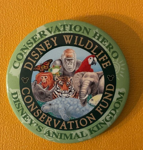 Disney Wildlife Conservation Fund Hero Pin. 3in. g101 | eBay